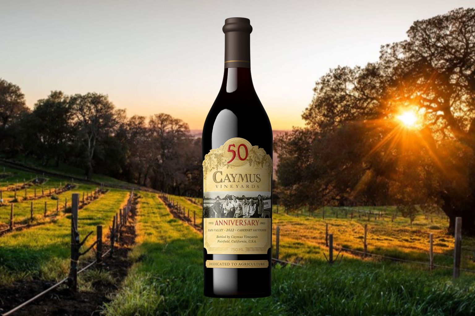 Spectrum - Brio Italian Grille